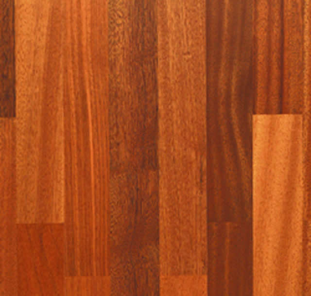 Africa: Aiele, Bilinga, BosseClair, Bumani, Essia, Eyoum, Iatandza ...